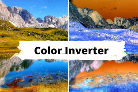 Color inverter for free and online usage